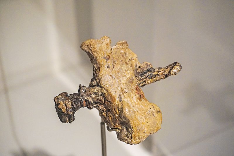 Τα στοιχεία που έφερε στο φως η αρχαιολογική σκαπάνη, που επιβεβαιώνουν ...